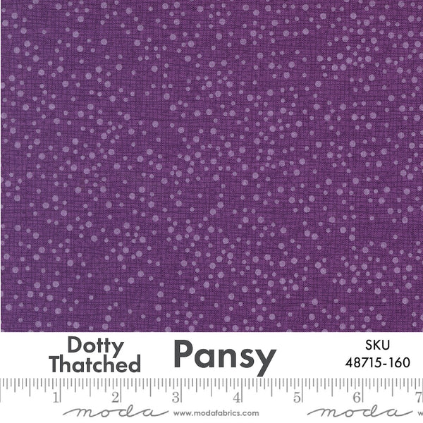 Dotty Thatched • Pansy • 48715-160 - Purple Daisies Quilting